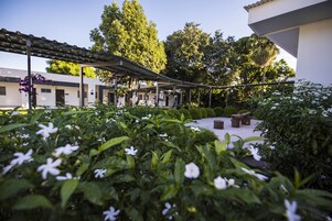 Terrenos do alojamento