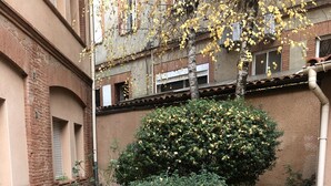 Pátio externo com mesa redonda e quatro cadeiras, cercado por um muro de tijolos e um arbusto pequeno.