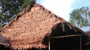 Uma cabana rústica com telhado de palha e varanda de madeira.