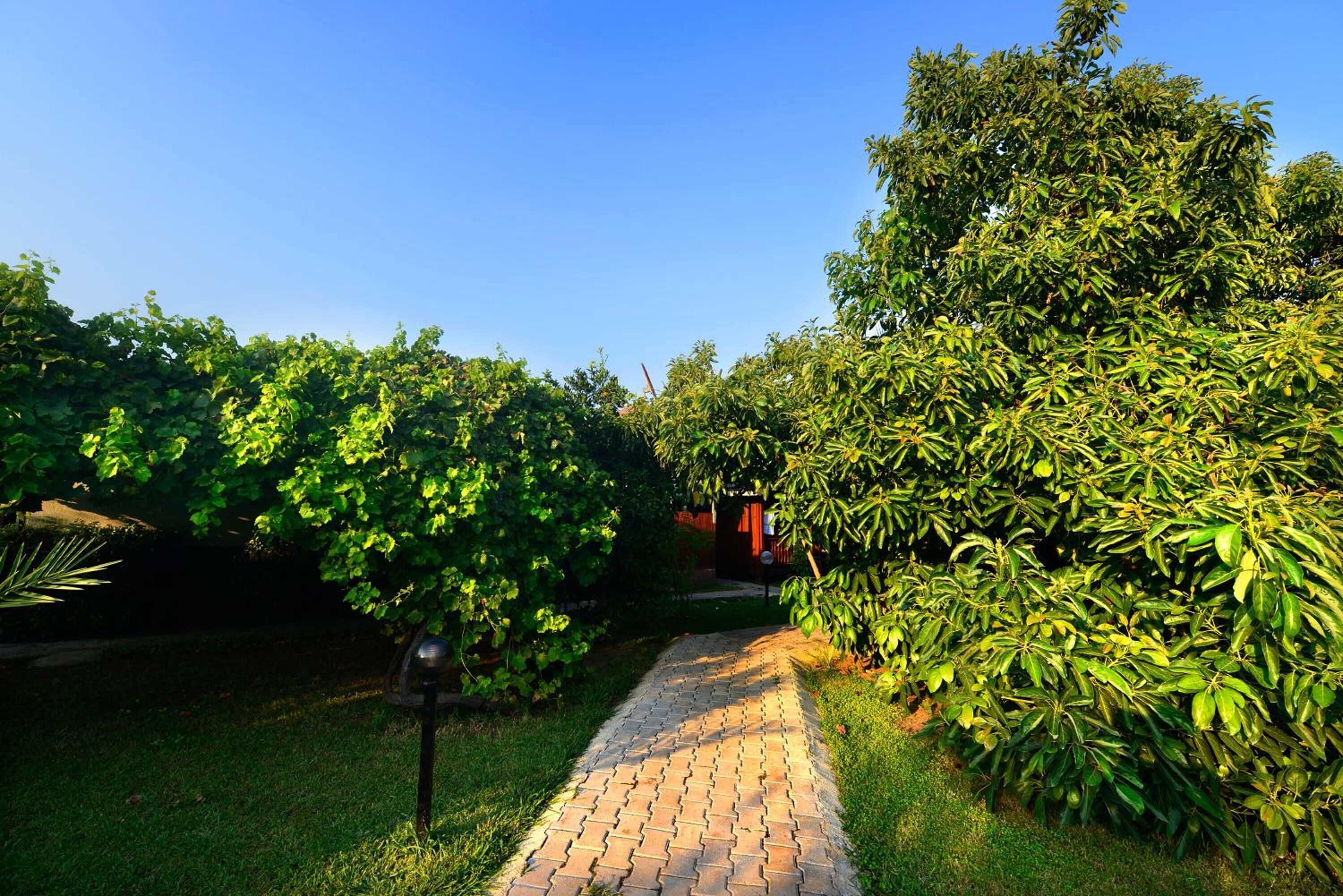 Área da propriedade