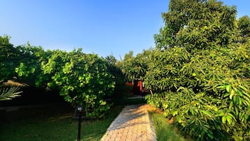 Área da propriedade