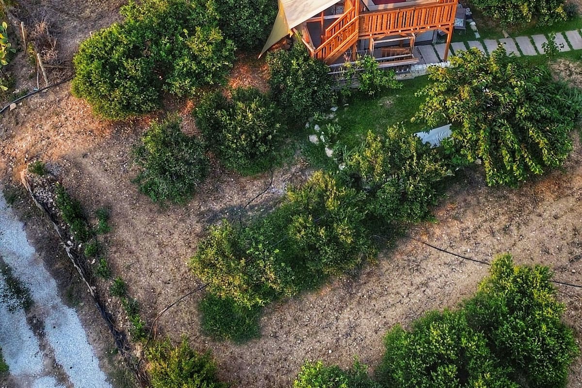 Vista aérea de uma cabana rústica com telhado inclinado, rodeada por vegetação densa e uma trilha de terra que leva até ela.