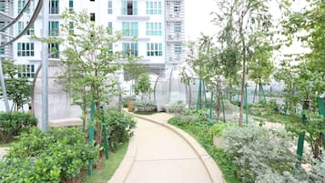 Jardim