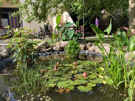 Um jardim tranquilo com lago, vegetação exuberante e uma moto estacionada perto.