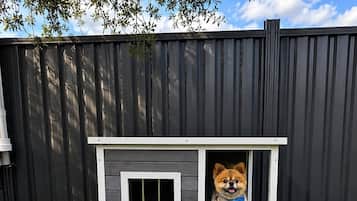 Cabana de Madeira Deluxe, 1 quarto (Pet Friendly) | Terraço/pátio interior