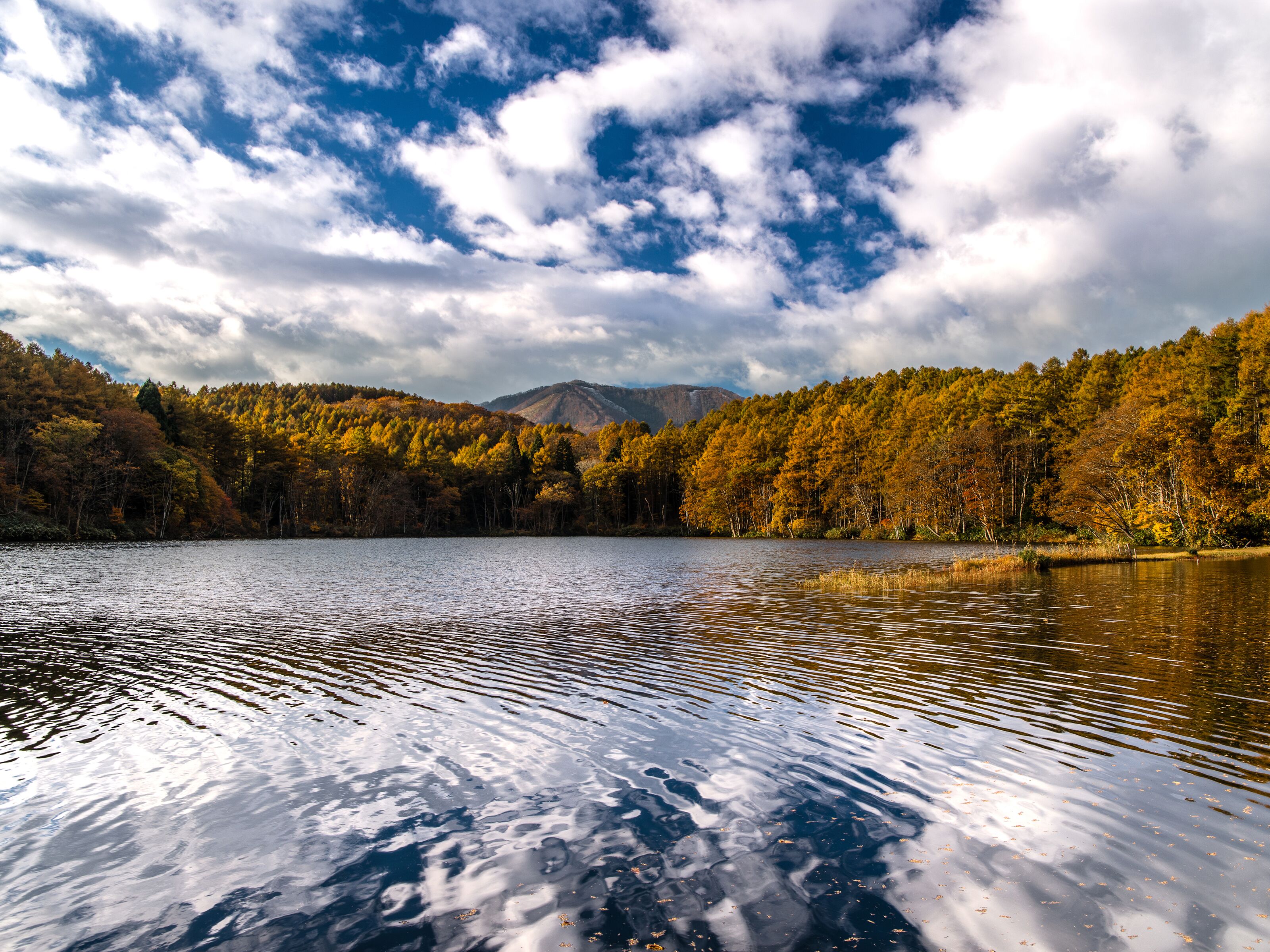 Um lago calmo rodeado por árvores com cores de outono e uma montanha ao fundo.