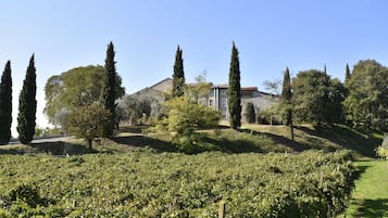 Terrenos do alojamento