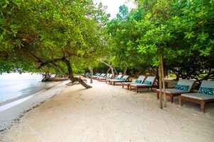Uma praia com espreguiçadeiras sob árvores, areal arenoso e mar calmo.