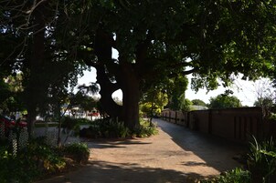 Jardim