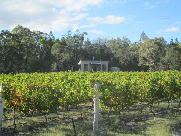 Just Red Wines Vineyard Cabins - Queensland