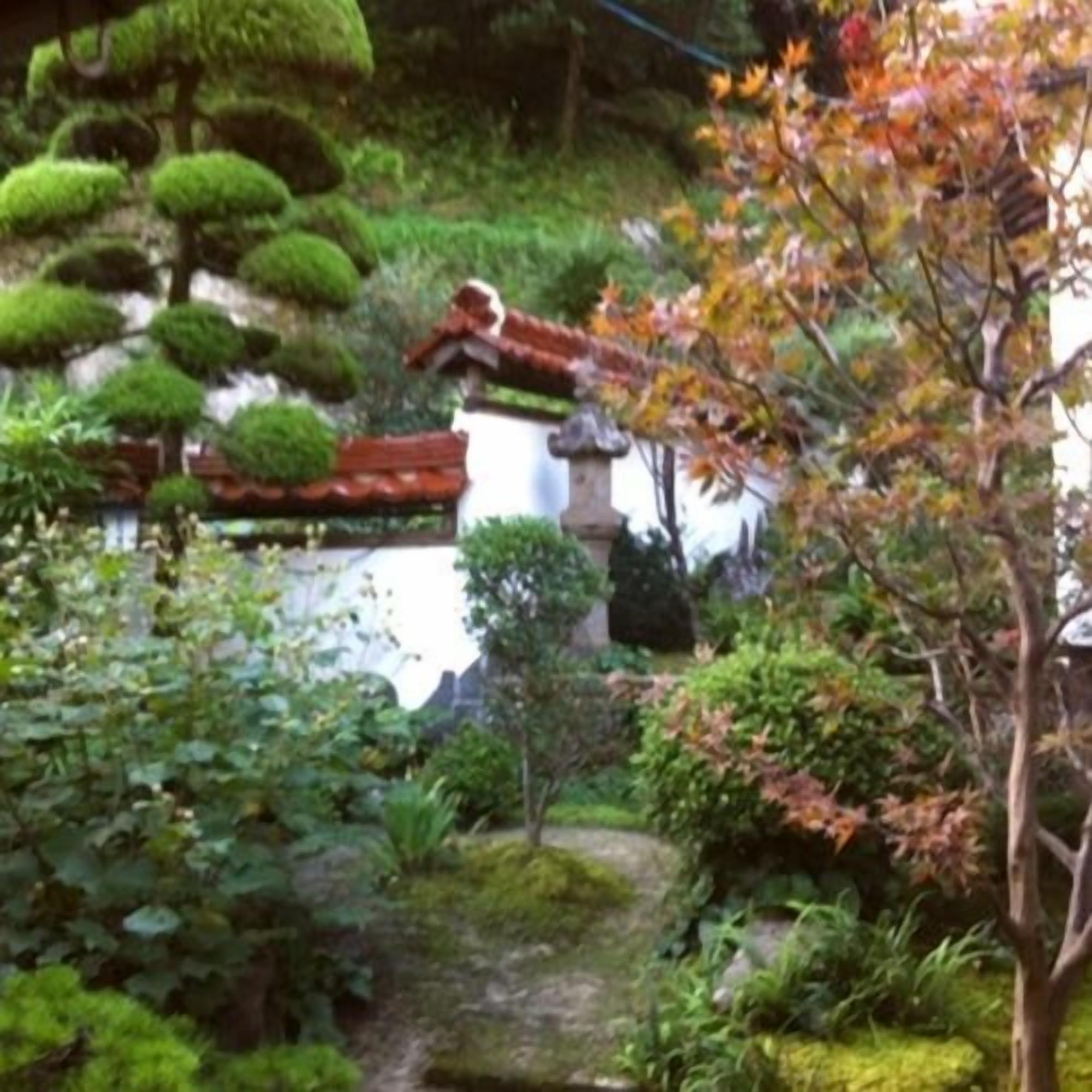 Terrenos do alojamento