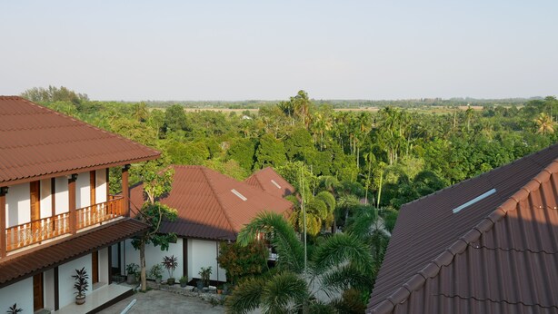 Área residencial com casas de telhados vermelhos e paredes brancas, cercada por vegetação exuberante e palmeiras.