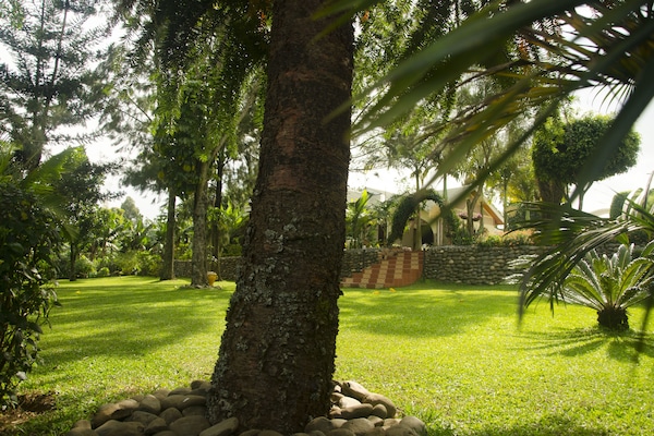 Jardim