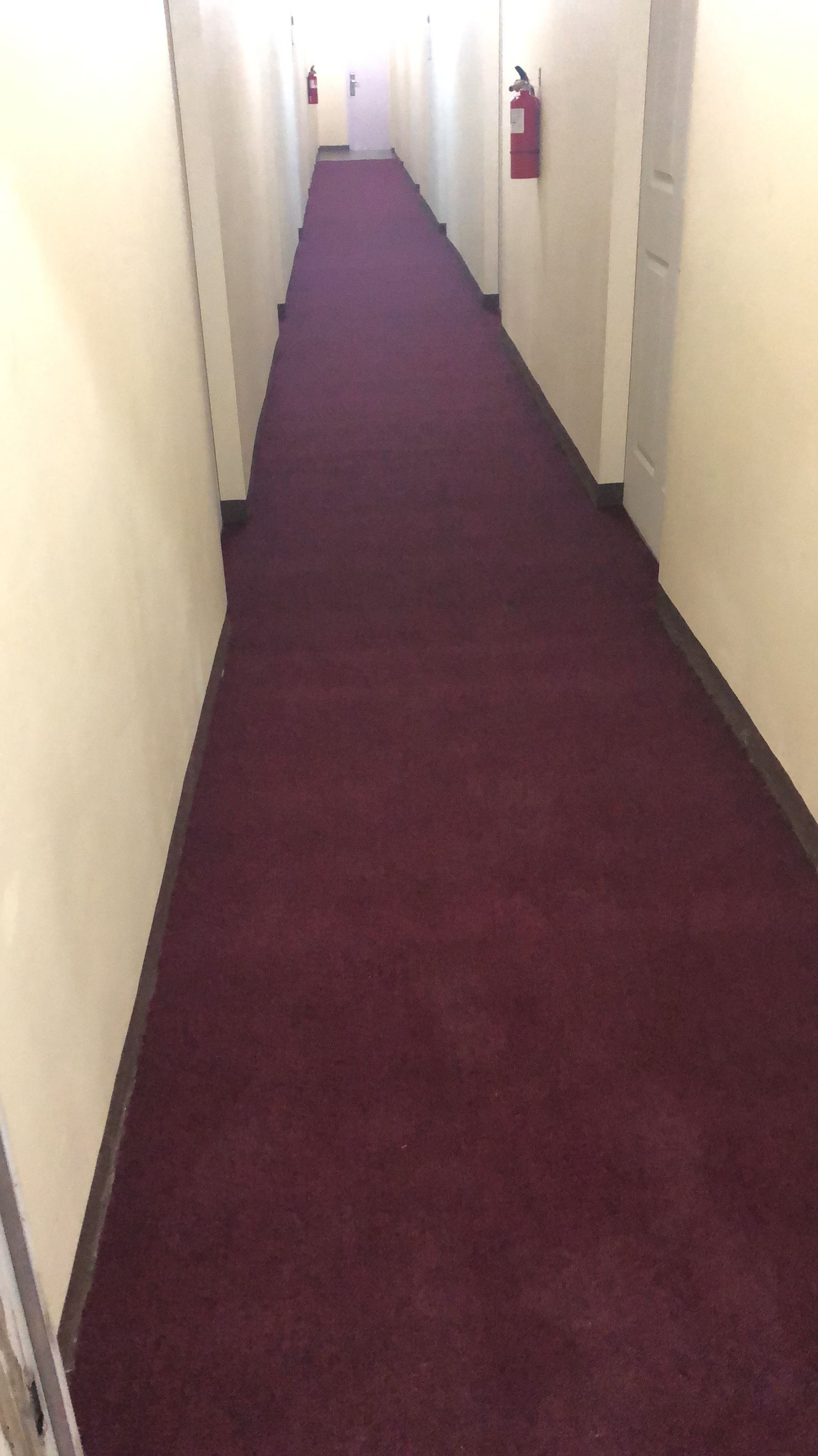 Um corredor com carpete vermelho, paredes brancas e extintores fixados nas paredes.