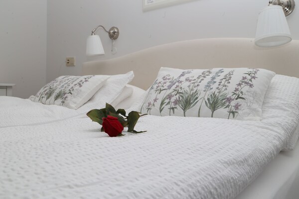 Country Dream Guesthouse - Islande