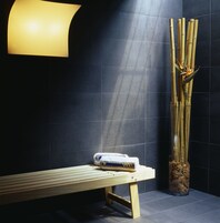Sauna seca