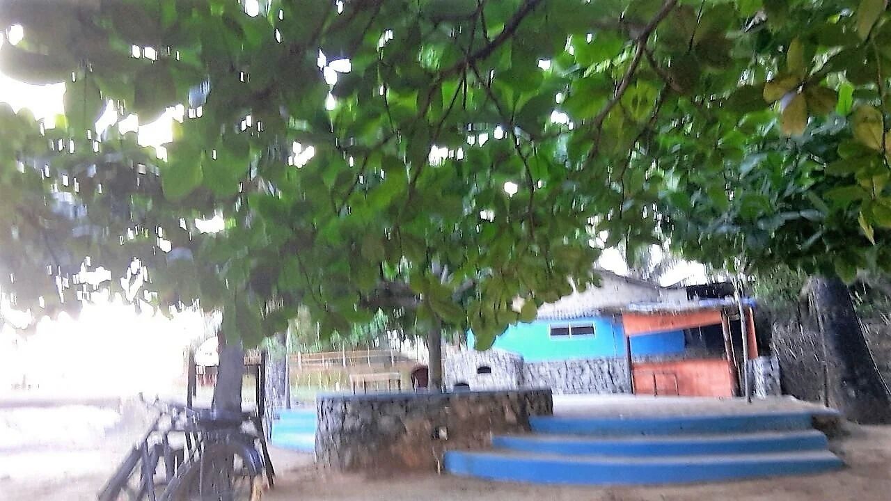 Um edifício com fachada azul e laranja, uma parede de pedra e uma escadaria que leva à entrada.