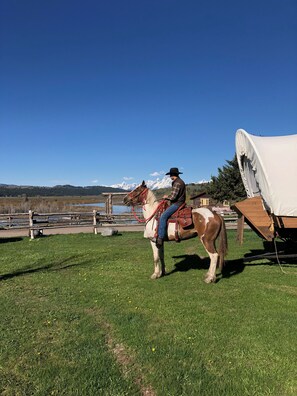 Buffalo Valley Ranch, Moran: Hotel Reviews, Rooms & Prices | Hotels.com