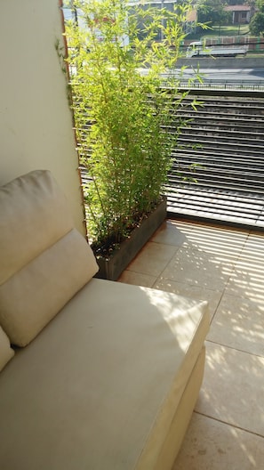 Vista da propriedade