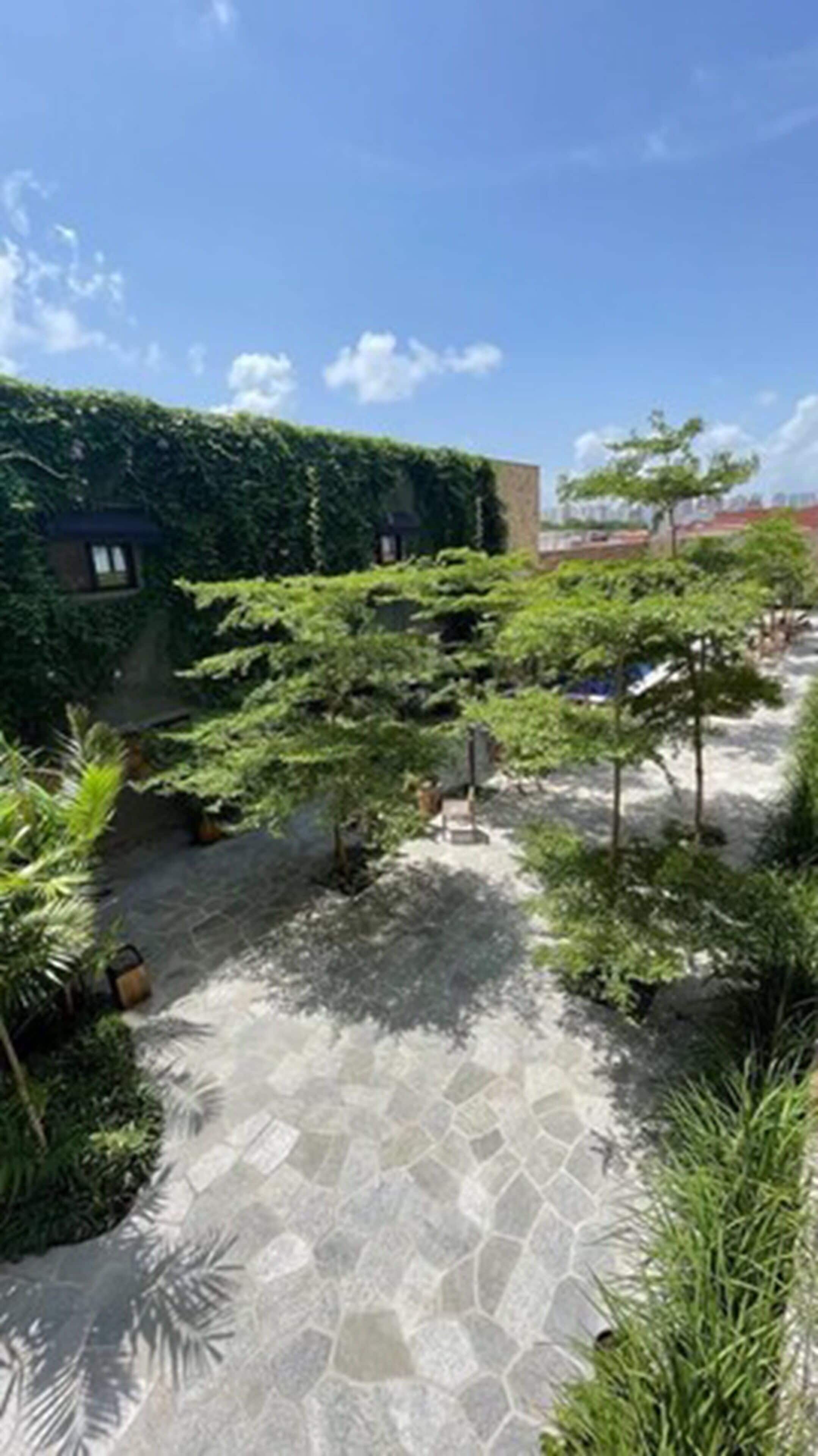 Um pátio com caminho de pedra, plantas verdes e um edifício com fachada verde.