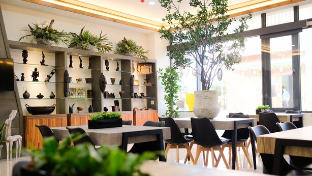 Interior moderno de restaurante com mesas e cadeiras de madeira, diversos objetos decorativos em prateleiras e grandes janelas permitindo entrada de luz natural.