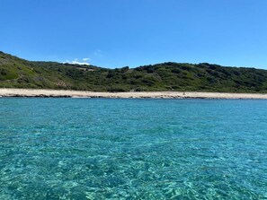 Visão nítida de uma praia com areal e uma colina arborizada ao fundo.
