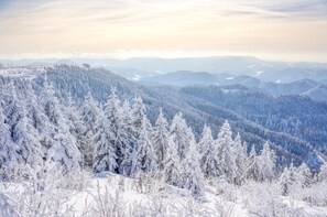 Desportos de neve e esqui
