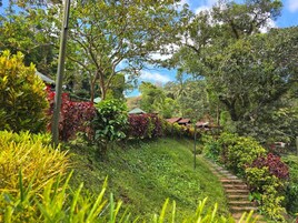 Terrenos do alojamento