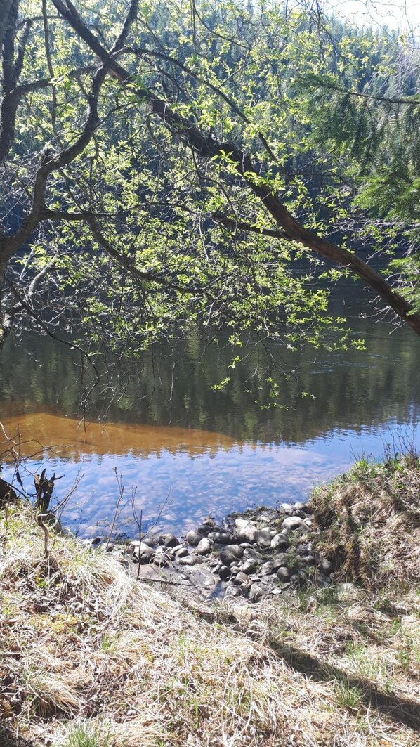 Paisagem natural com um corpo d'água calmo, rodeado por árvores e terreno rochoso.