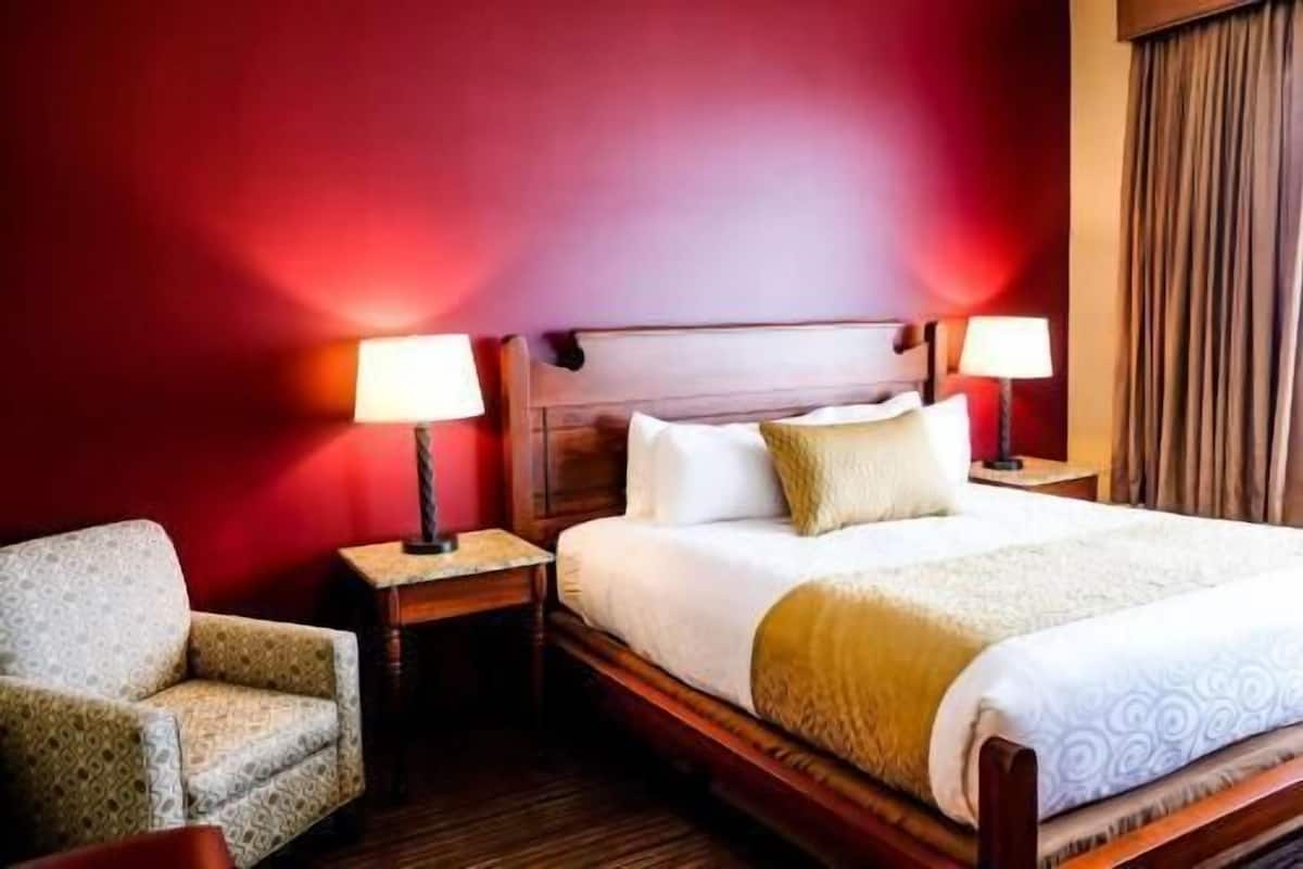 Roupa hipoalergénica, secretária, cortinas/cortinados opacos