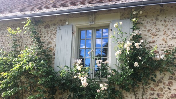 Um edifício rústico com uma janela coberta por persianas brancas, rodeado por plantas trepadeiras e flores.