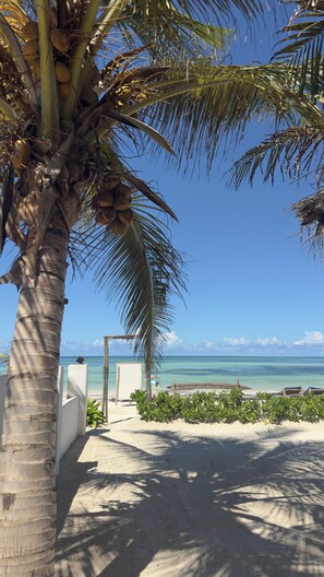 Na praia, espreguiçadeiras, guarda-sóis, prática de mergulho autônomo 