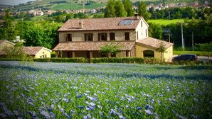 Uma casa de pedra com dois andares, teto de telhas e um painel solar no telhado, cercada por um campo de flores azuis.