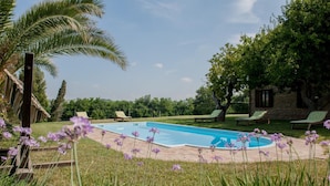 Uma piscina cercada por grama verde, com algumas flores roxas em primeiro plano.