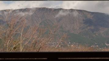 Suite, não fumadores (Check in 3-6pm, Japanese Breakfast) | Vista do quarto