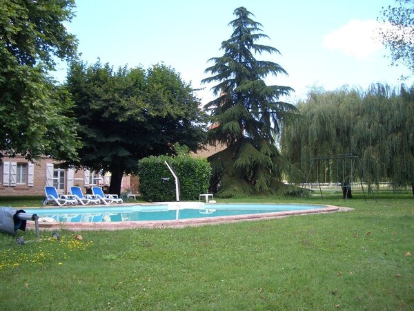 Le Platane - Moissac