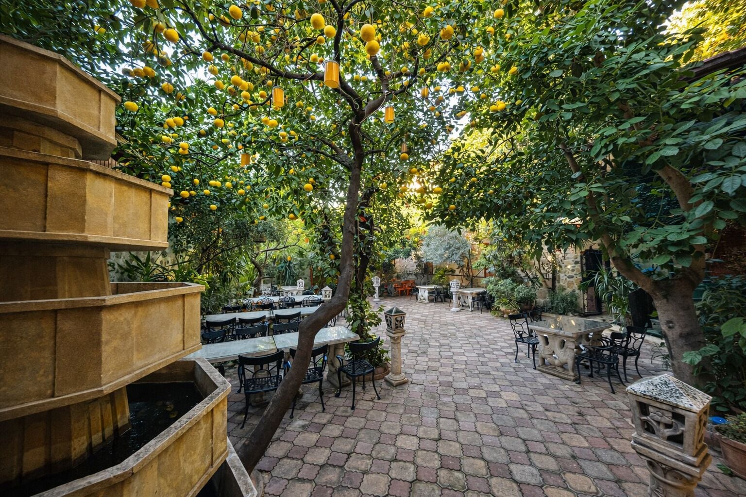 Café
