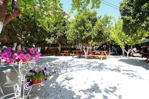 Área da propriedade