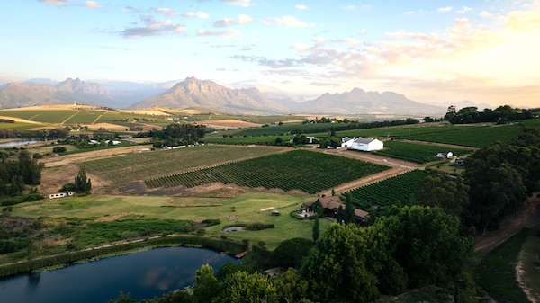 The Log Collective - Stellenbosch