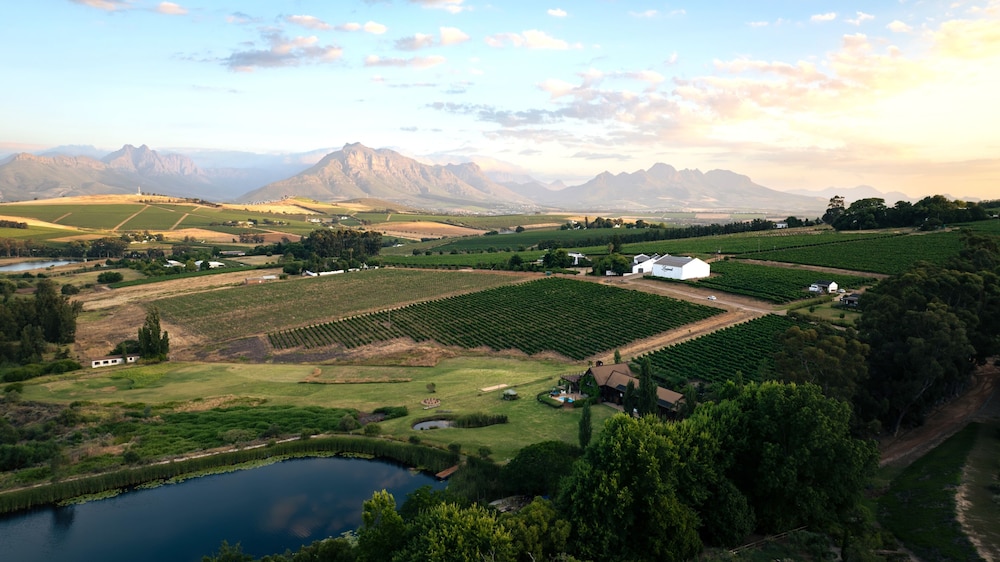 The Log Collective - Stellenbosch