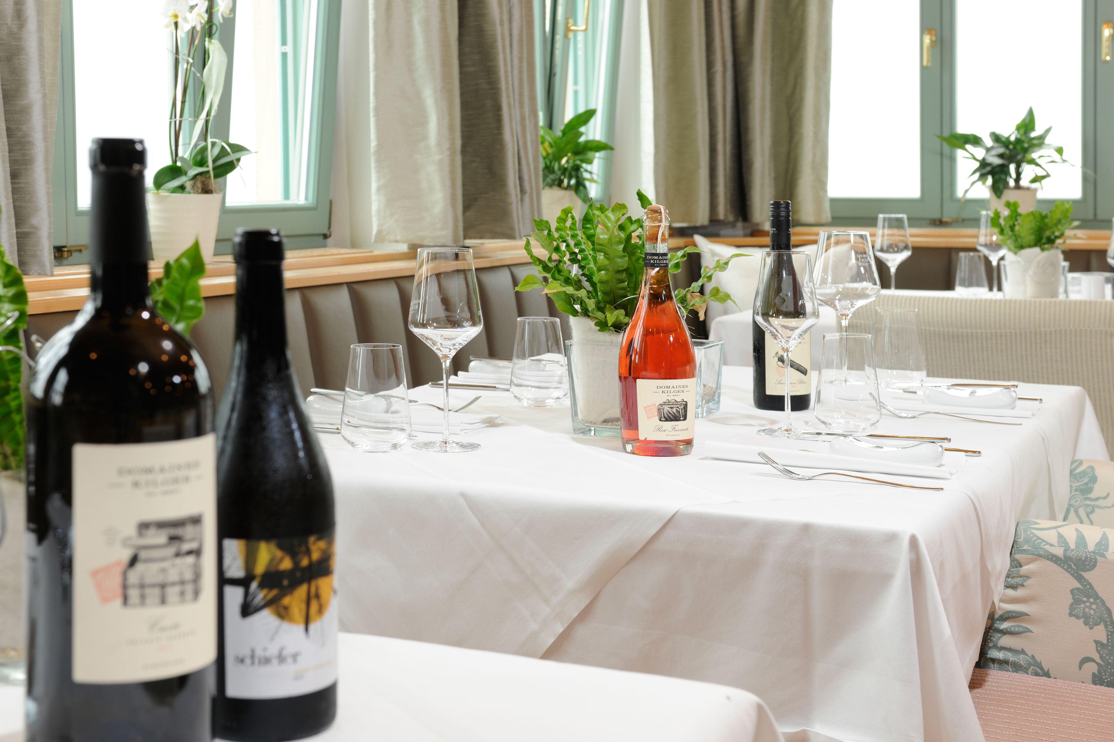 Mesa de jantar posta com garrafas de vinho e copos, cercada por vasos de plantas e uma janela com cortinas.