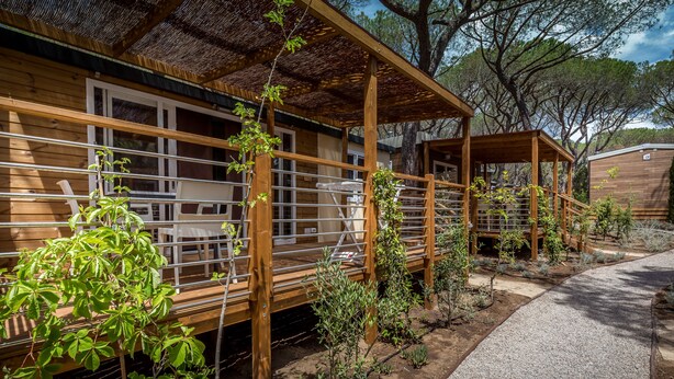 Uma cabana de madeira com varanda coberta, área de refeições com mesa e cadeiras, e pequeno jardim com diversas plantas.