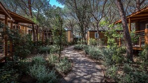 Uma trilha serpenteia por uma área arborizada com cabanas de madeira.