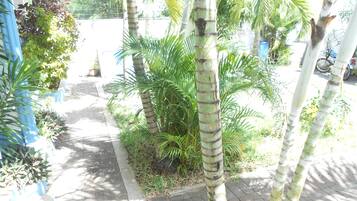 Terrenos do alojamento