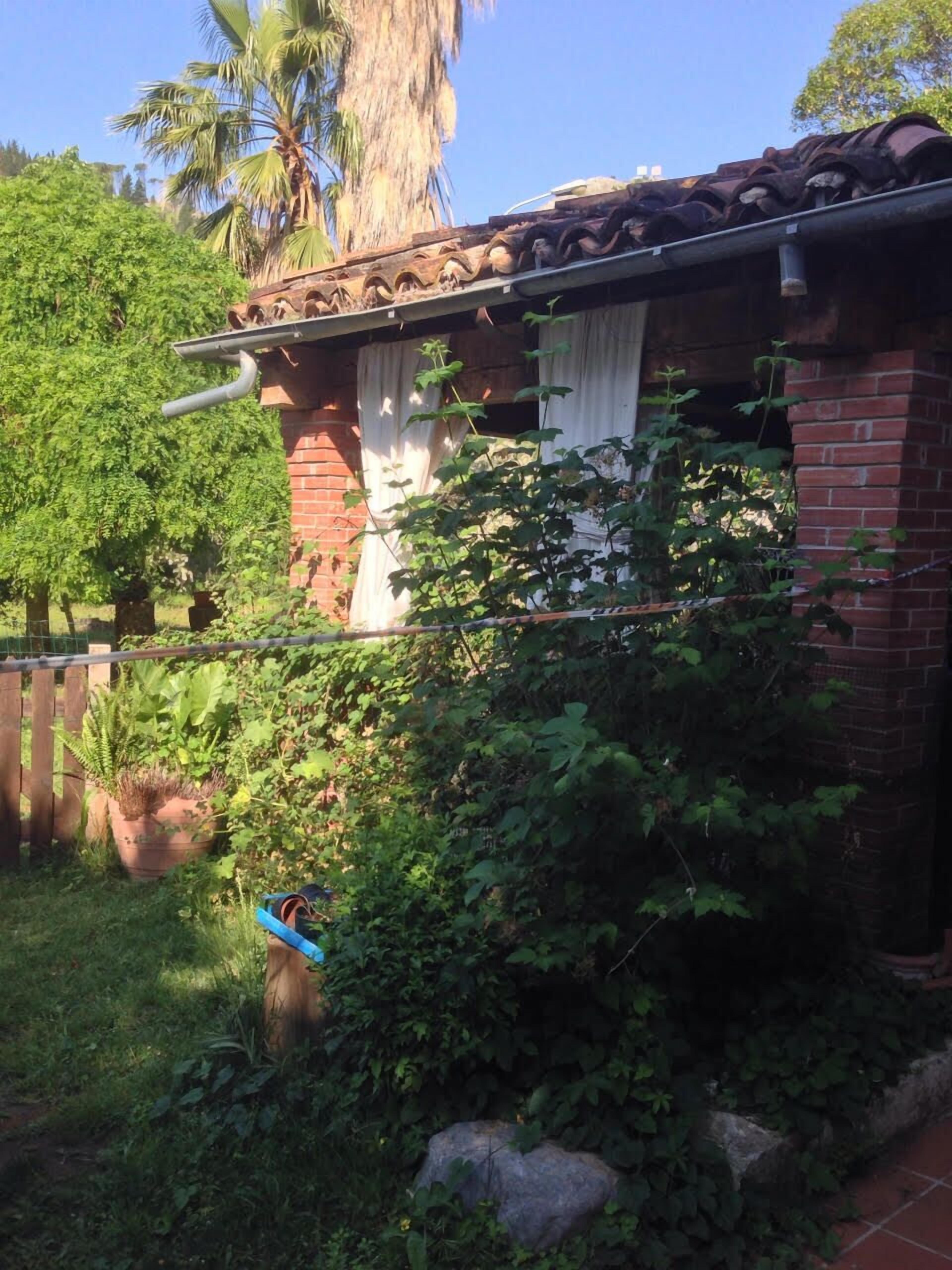 Uma casa de tijolos com telhado de cerâmica, rodeada por vegetação exuberante e uma palmeira.