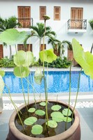 Uma planta de vitória-régia em vaso, com uma piscina ao fundo.