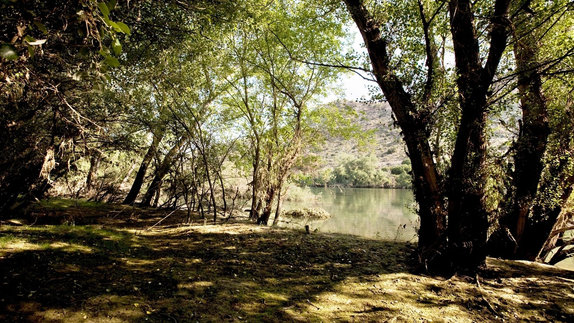 Paisagem natural com um lago calmo, cercado por árvores e uma área gramada.