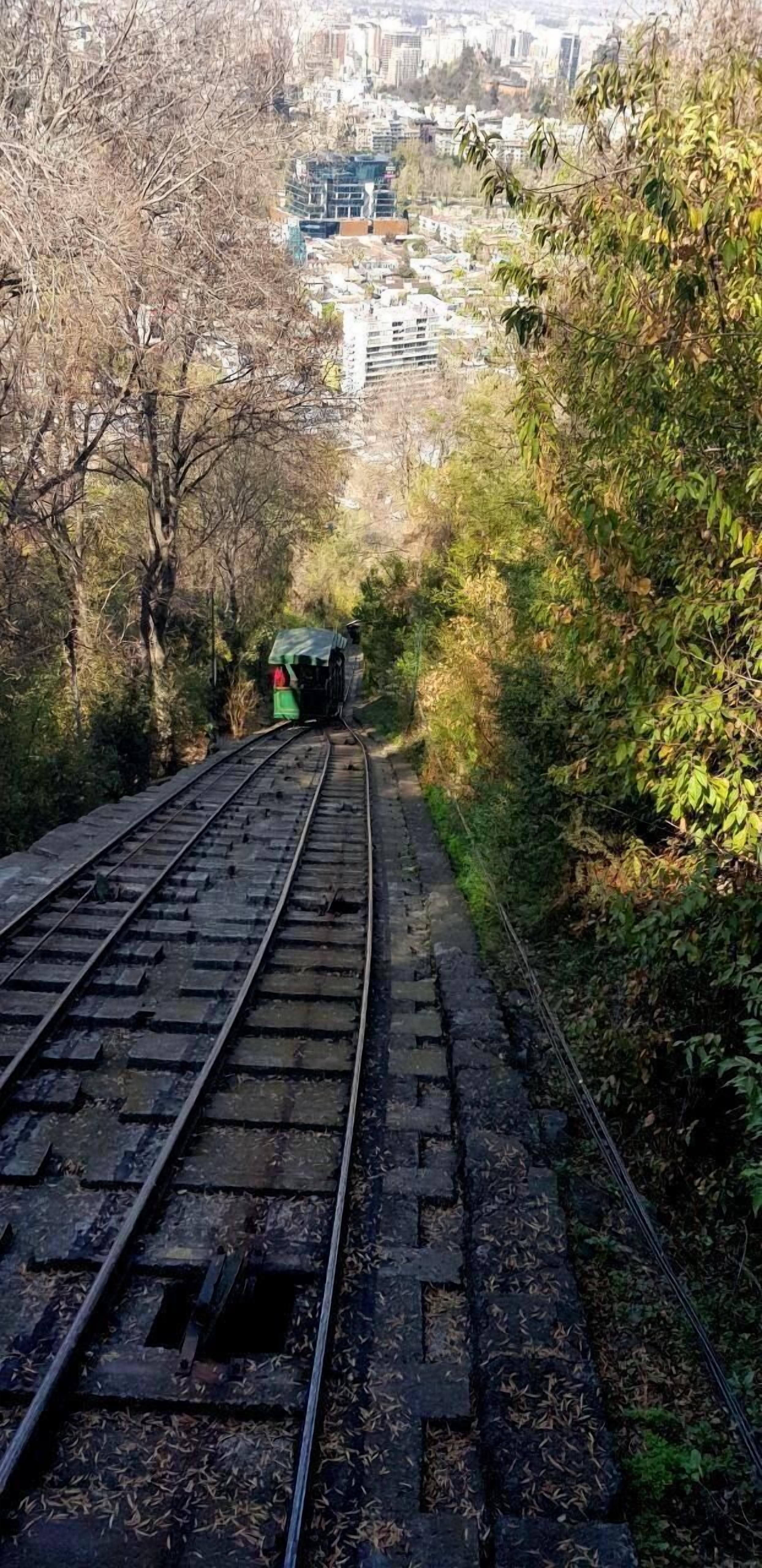 Trilhos de trem com um vagão cruzando uma ponte, rodeado por vegetação densa e edifícios ao fundo.