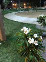 Área da propriedade