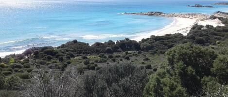 Paisagem costeira com praia, vegetação densa e afloramentos rochosos.
